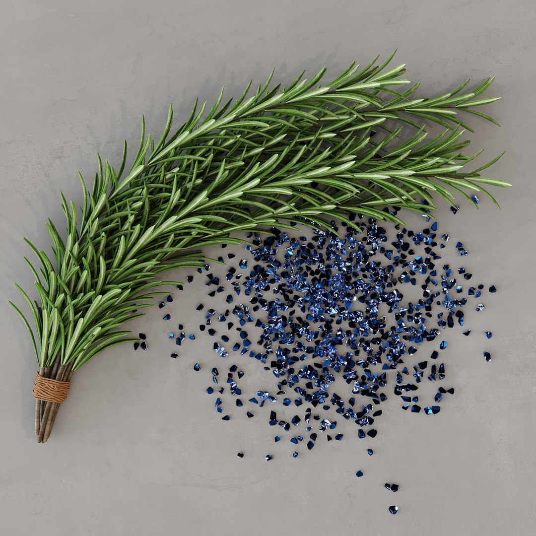 3D Rosemary Plants Set - TurboSquid 1528337