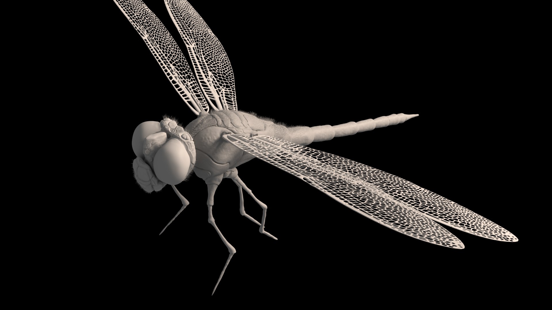3D Dragon Fly Animate - TurboSquid 1408008