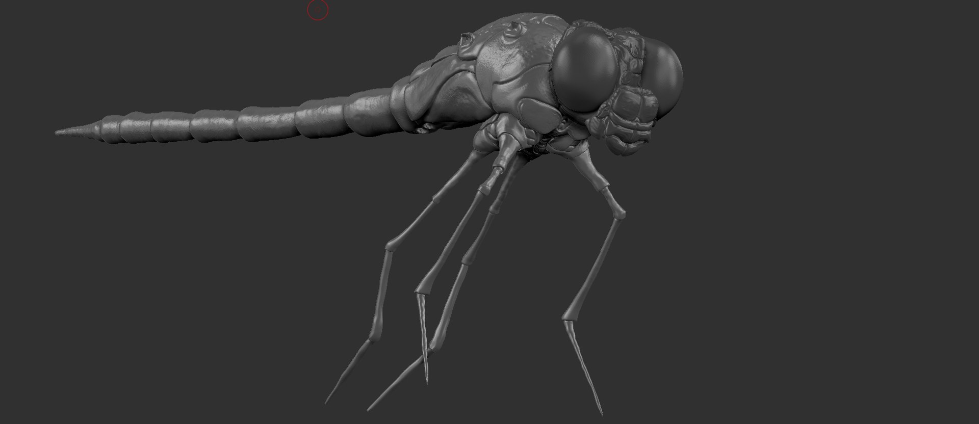 3D Dragon Fly Animate - TurboSquid 1408008