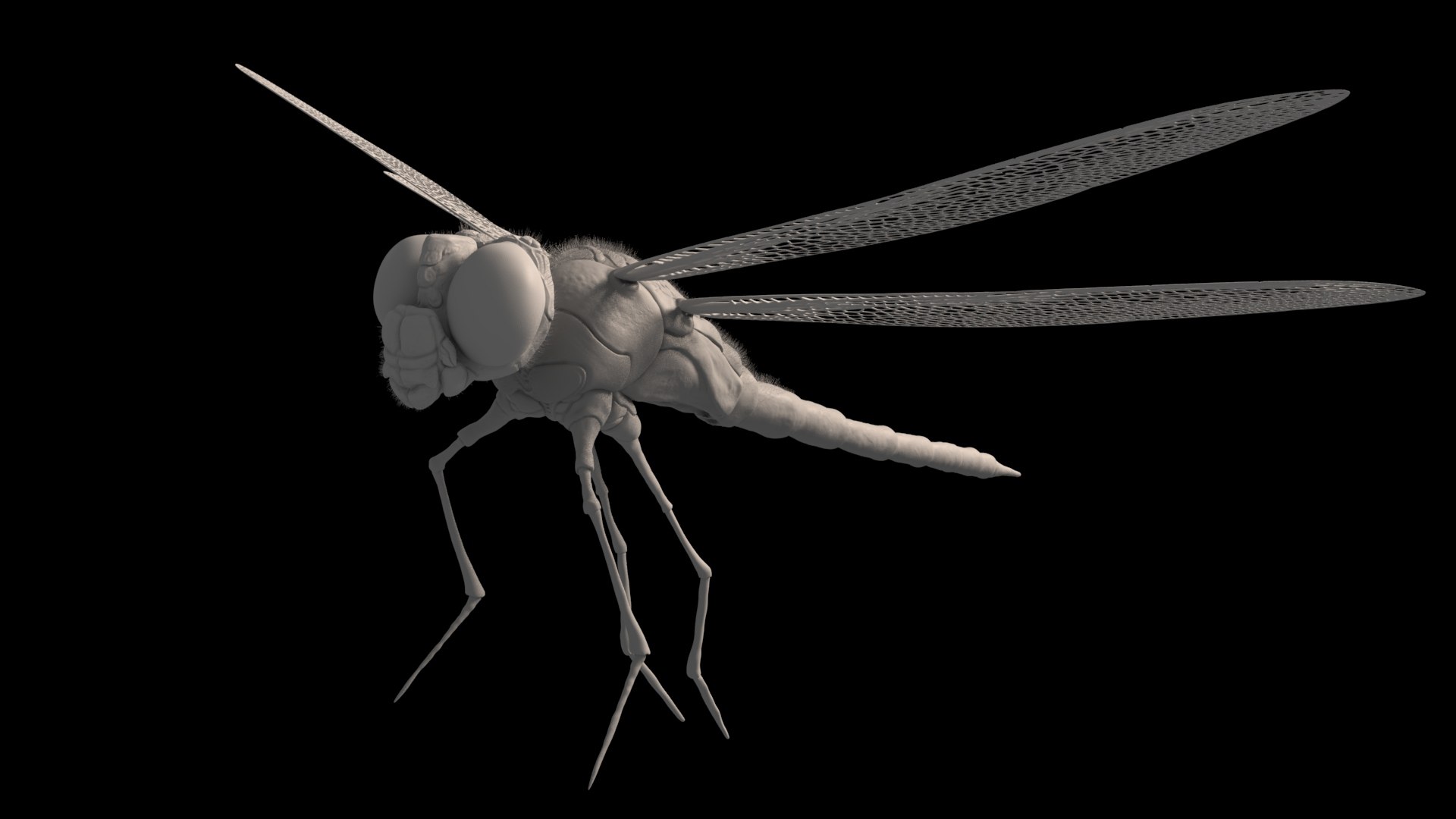 3D Dragon Fly Animate - TurboSquid 1408008
