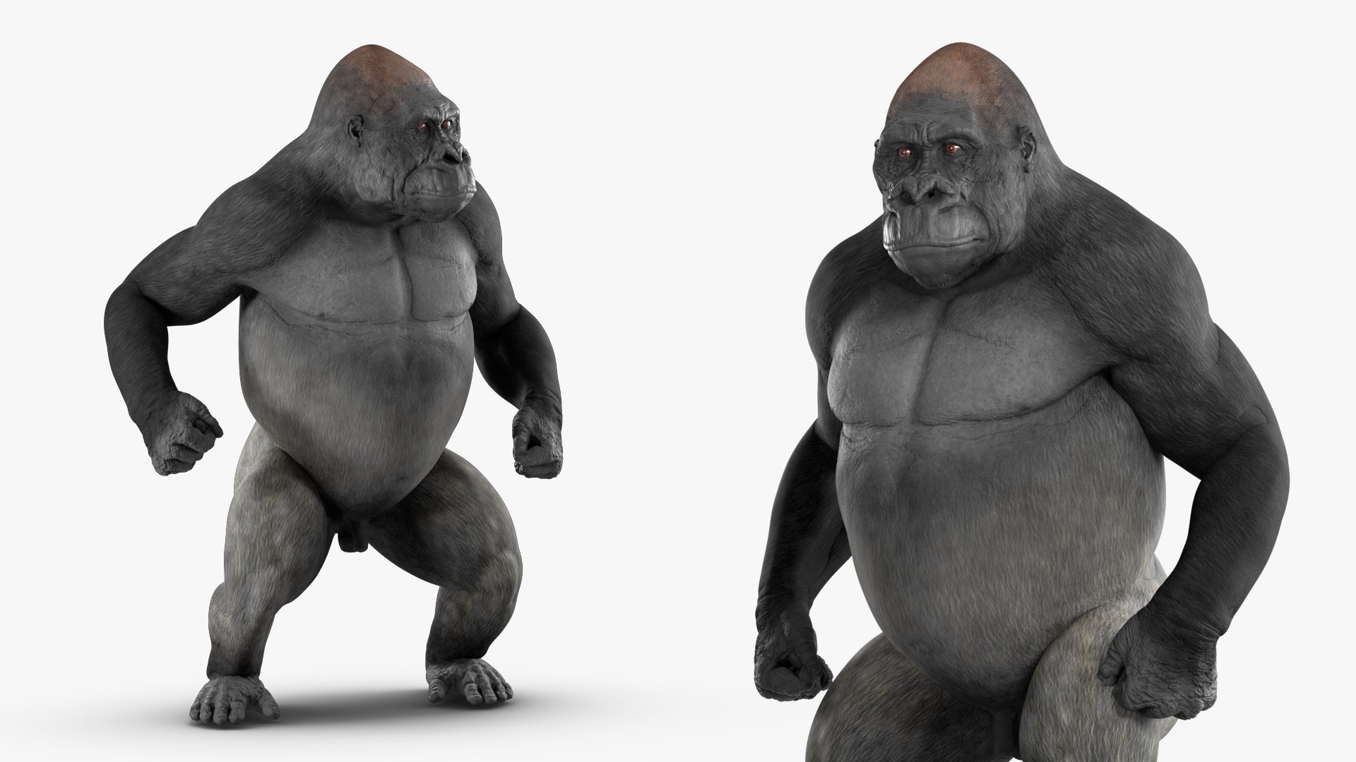 Rigged Gorilla Animated Collection 3D Model - TurboSquid 2299546