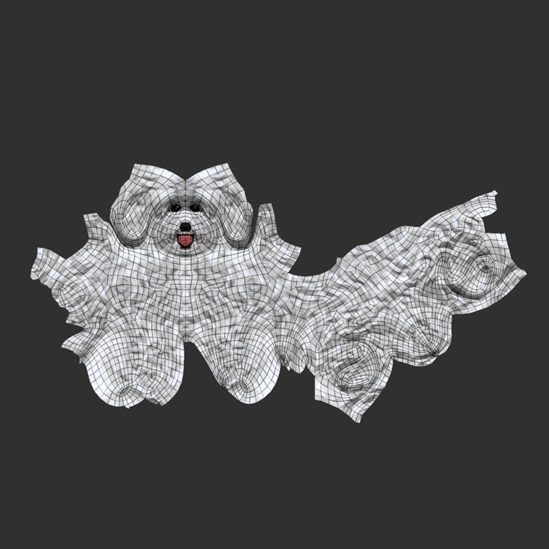 3D Labradoodle Model - TurboSquid 2360457