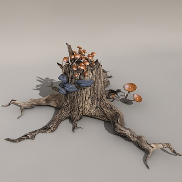 그루터기 3d 모델 Turbosquid 538937