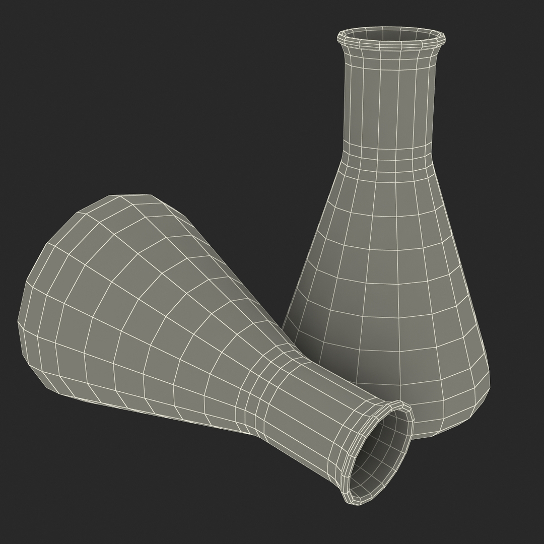 3d Model 250 Ml Erlenmeyer Flask