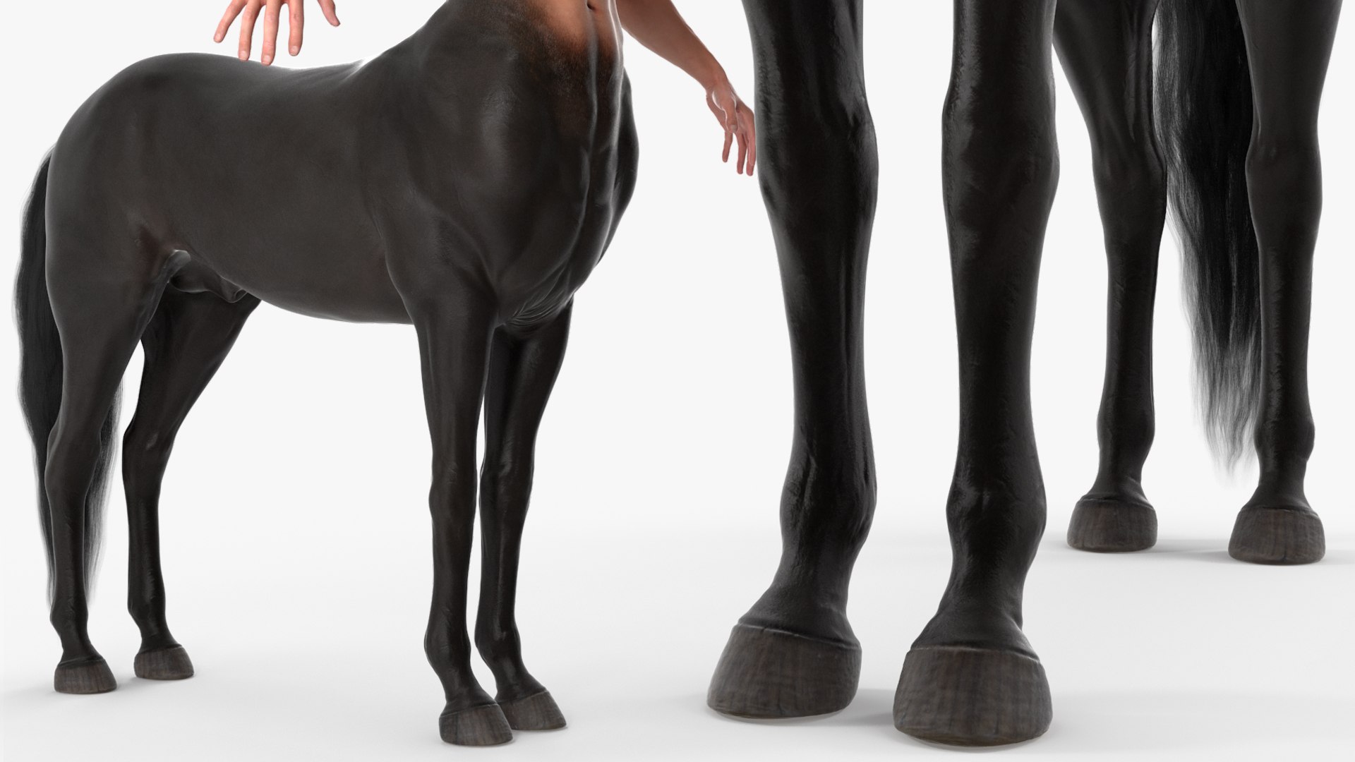 3D Creature Long Hair Centaur Rigged Model - TurboSquid 2407096