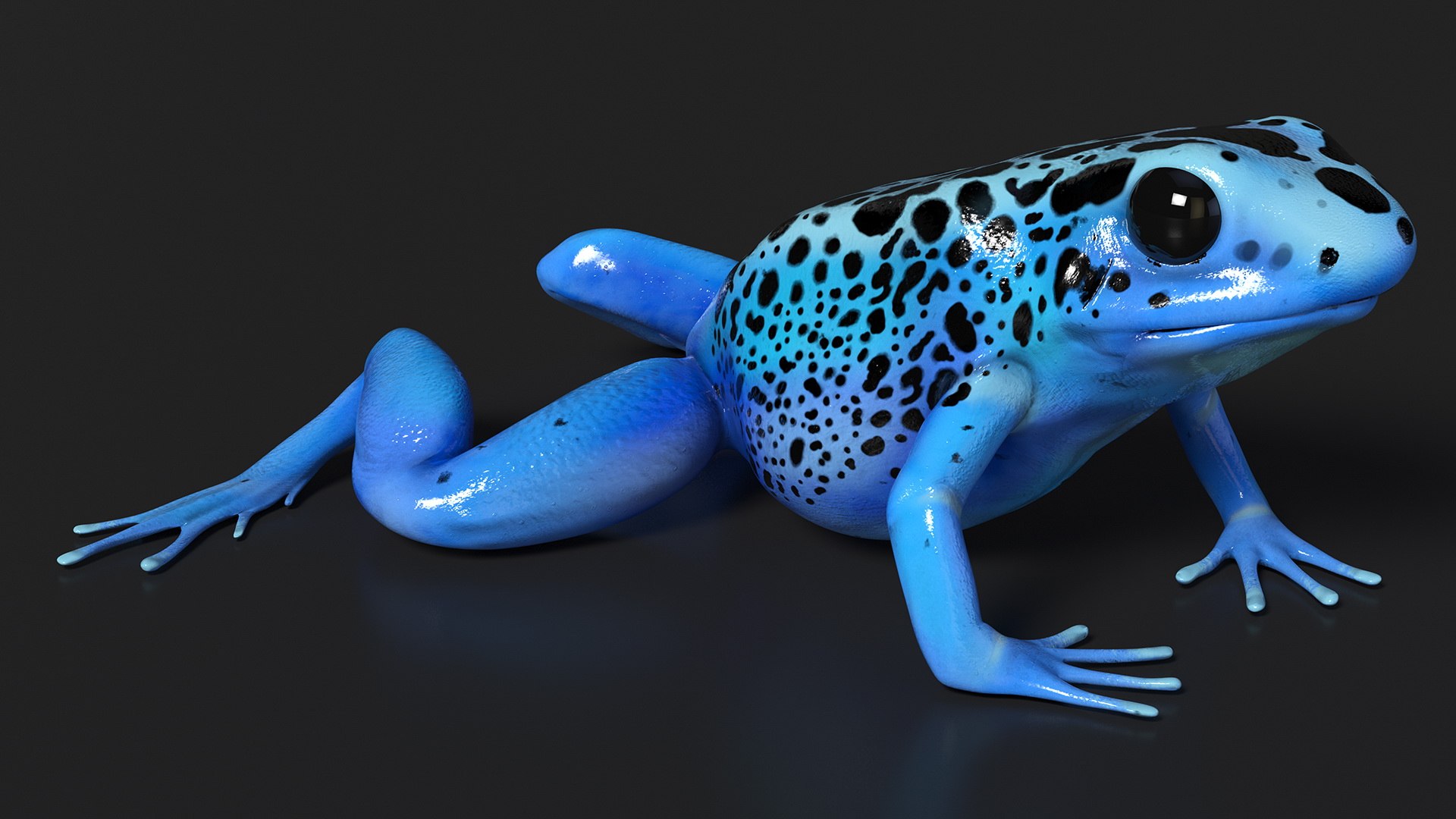 3D Poison Dart Frog Blue Crawling Pose - TurboSquid 2185970