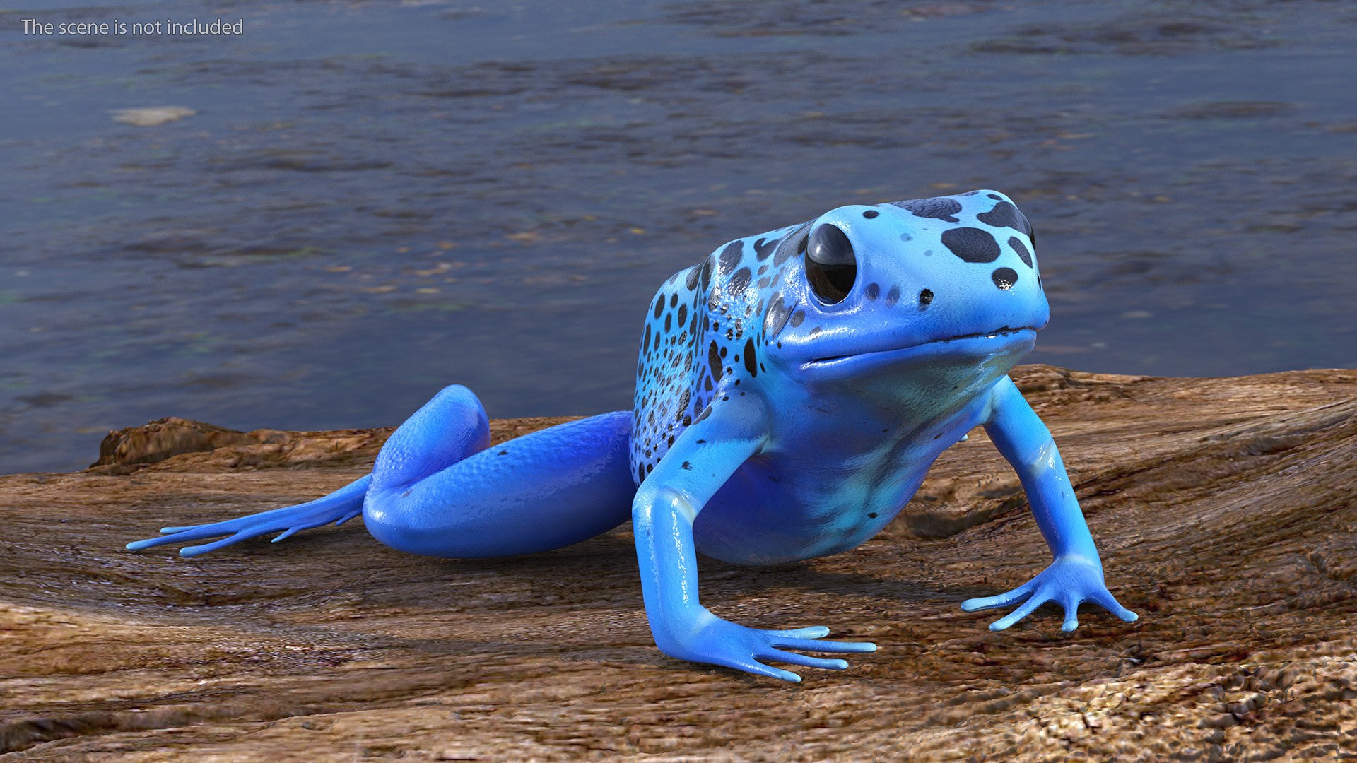3D Poison Dart Frog Blue Crawling Pose - TurboSquid 2185970