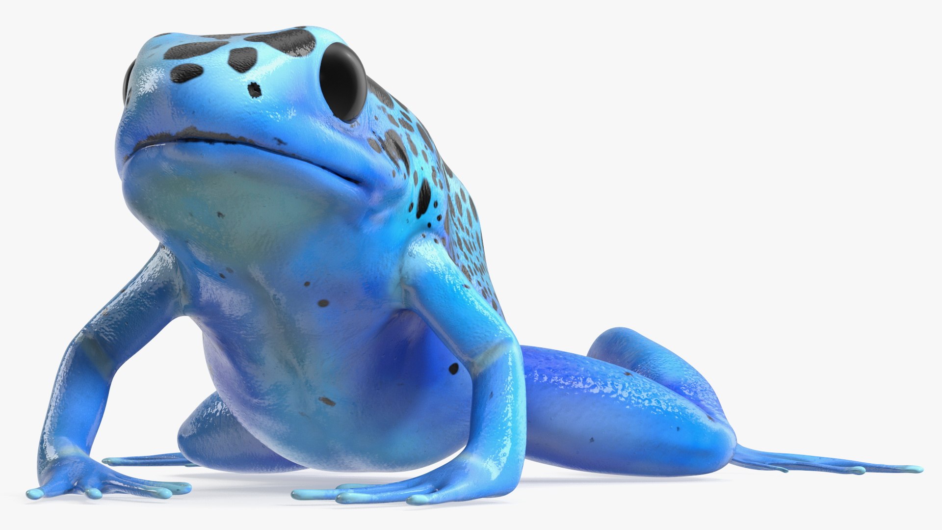 3D Poison Dart Frog Blue Crawling Pose - TurboSquid 2185970