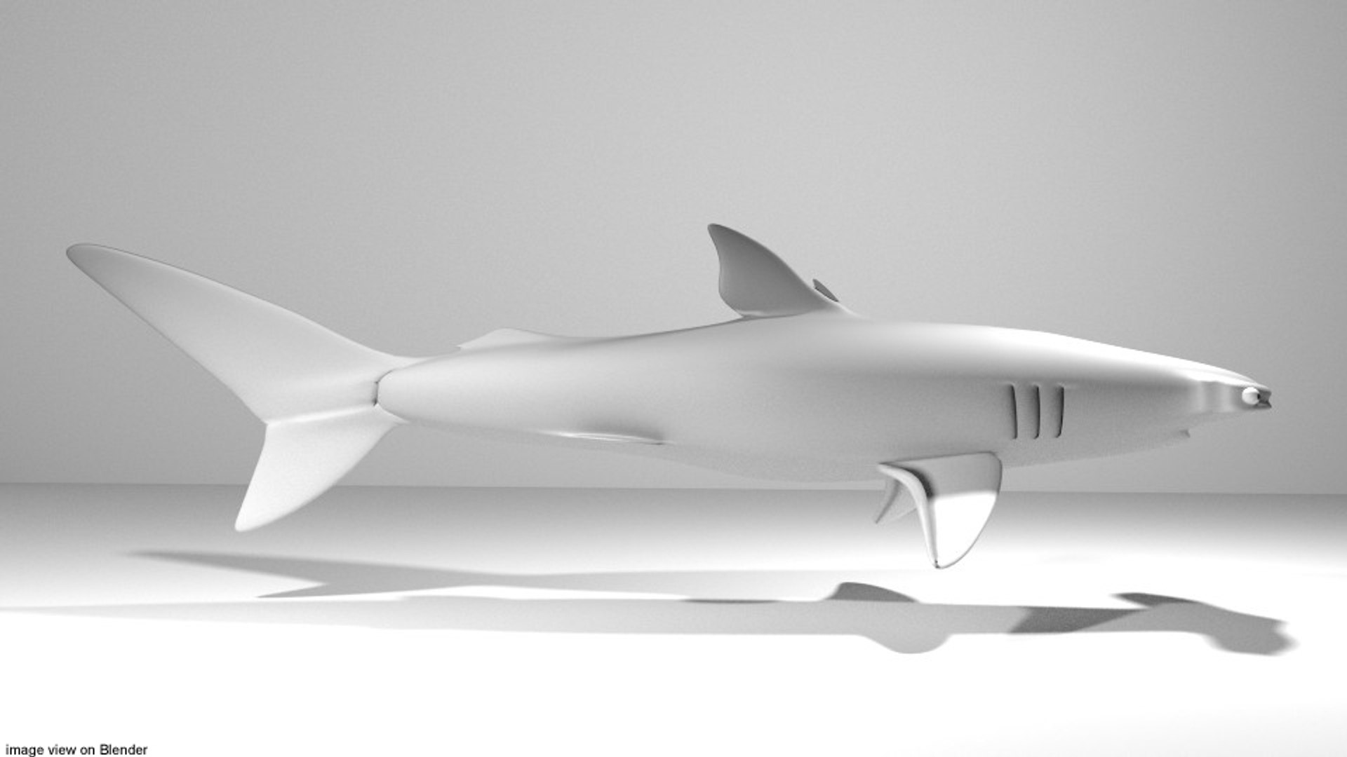 Hammerhead Shark Model - TurboSquid 1171023