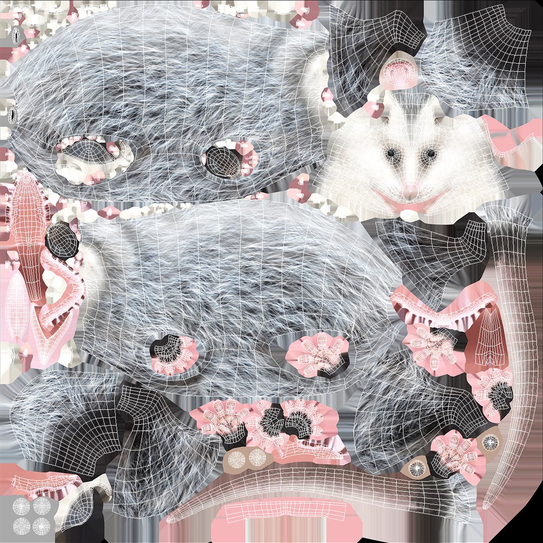 Angry Opossum With Corn Fur Model - TurboSquid 2402877