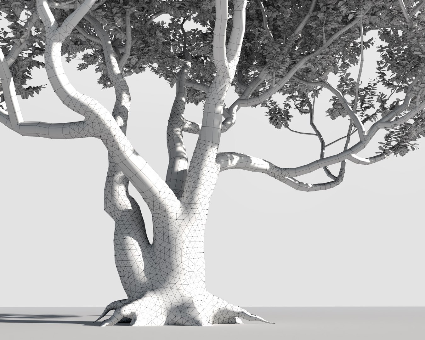 3D trees pack growfx model - TurboSquid 1445074
