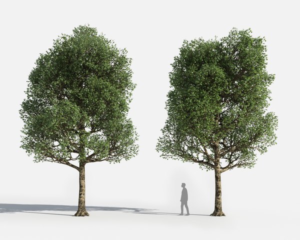 3D trees pack growfx model - TurboSquid 1445074