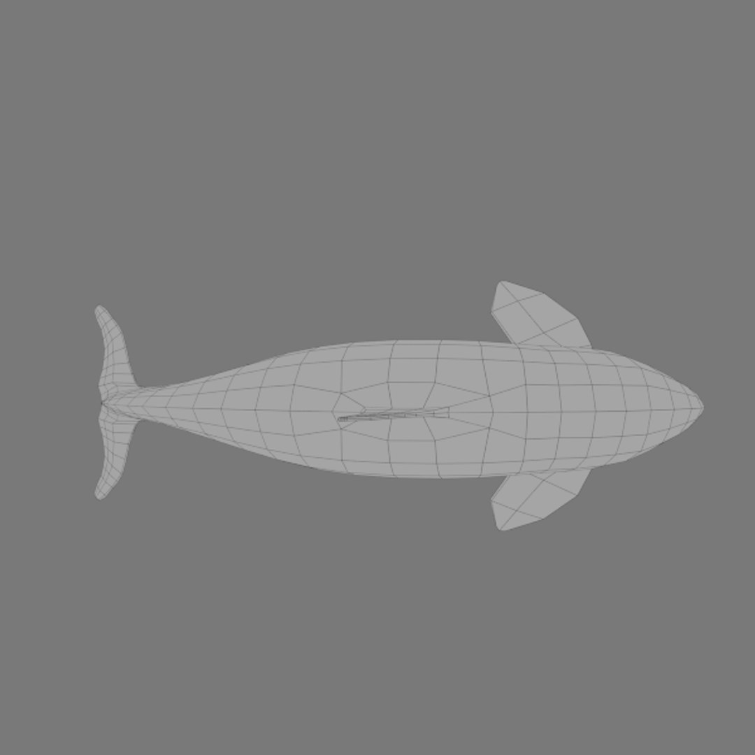 3d Killer Whale Model