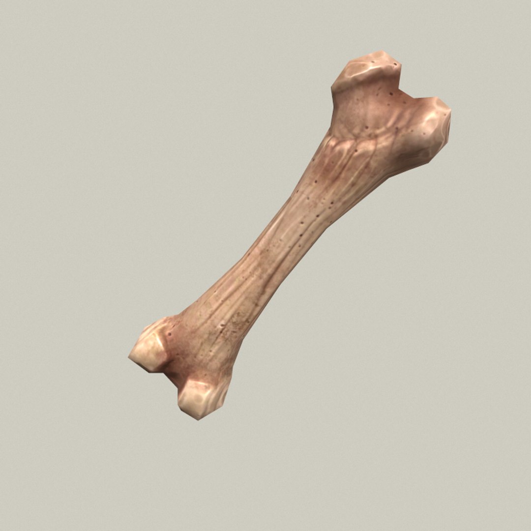 Low-poly Cartoon Bone Obj