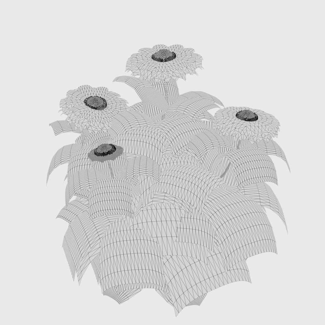 3D Gaillardia X Grandiflora Arizona Red Shades 3d Model Model ...