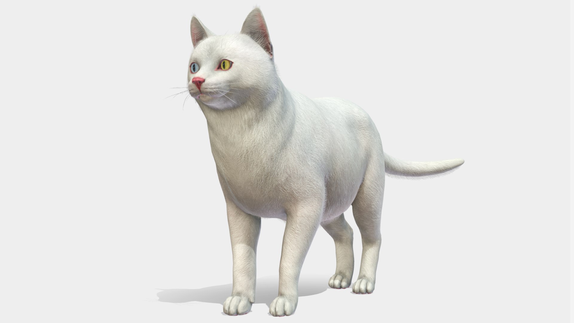 3D Cats Family Model - TurboSquid 2097227