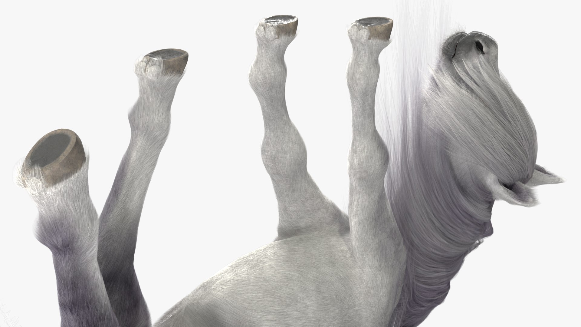 White Pony With Long Mane Grazing Fur 3D - TurboSquid 2236631