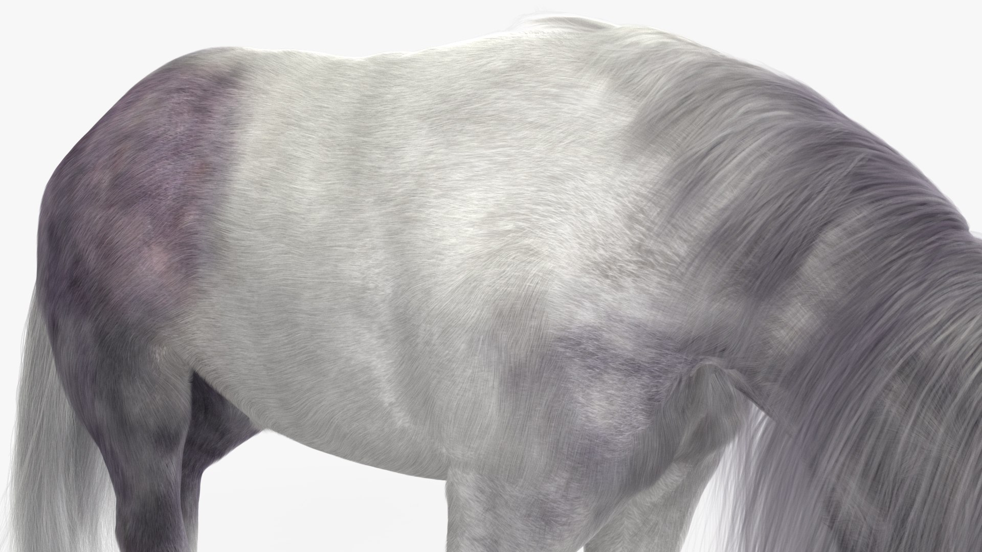 White Pony With Long Mane Grazing Fur 3D - TurboSquid 2236631