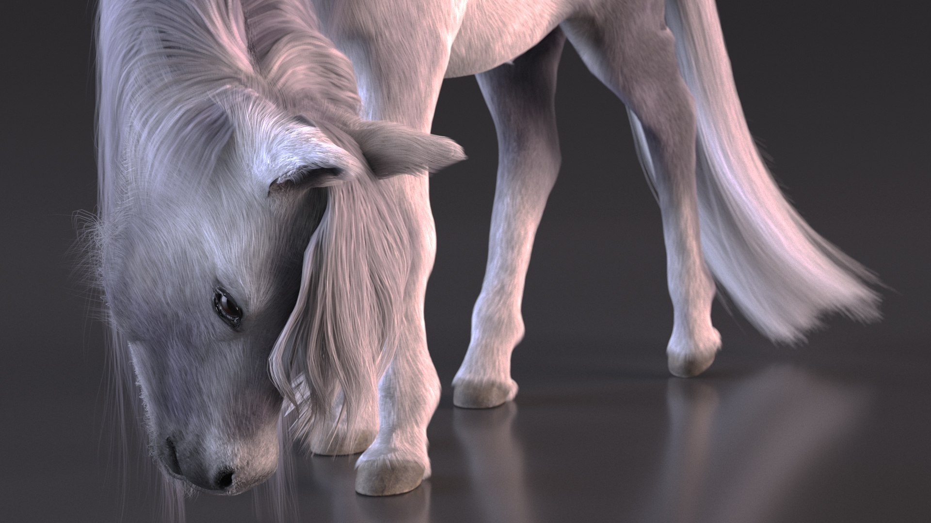 White Pony With Long Mane Grazing Fur 3D - TurboSquid 2236631