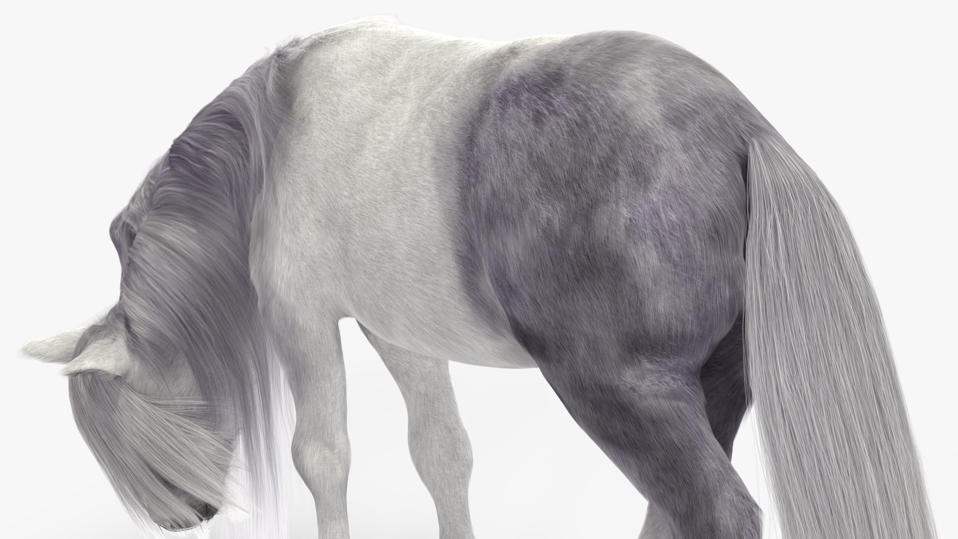 White Pony With Long Mane Grazing Fur 3D - TurboSquid 2236631