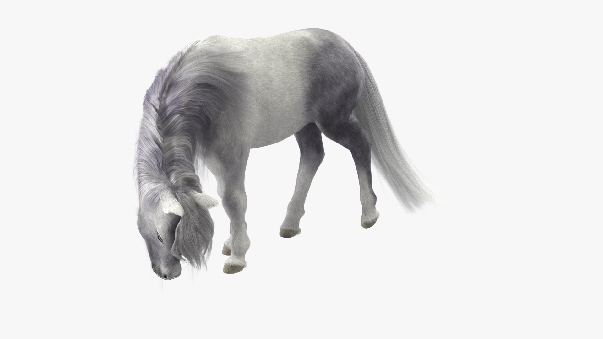 White Pony With Long Mane Grazing Fur 3D - TurboSquid 2236631