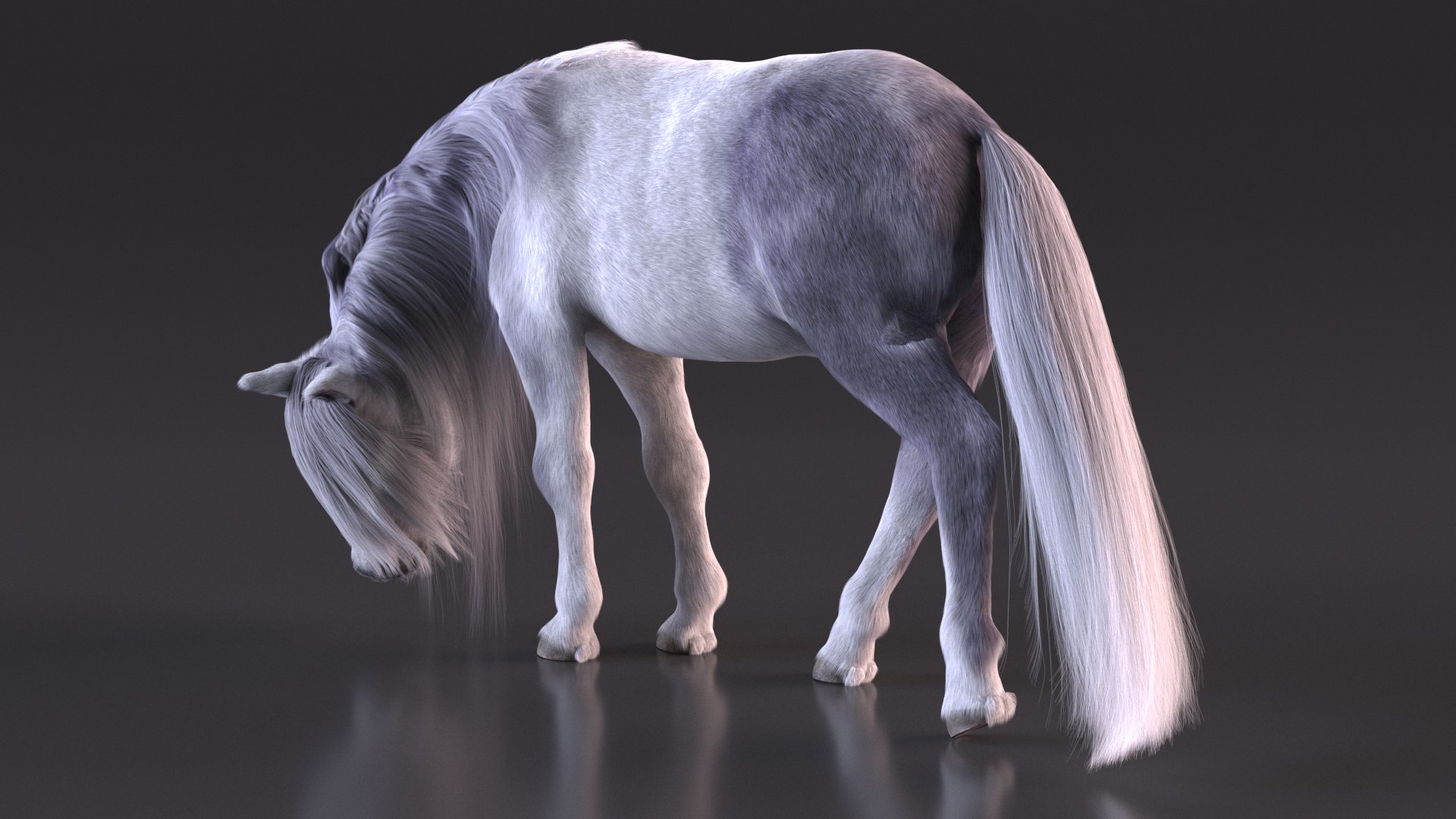 White Pony With Long Mane Grazing Fur 3D - TurboSquid 2236631
