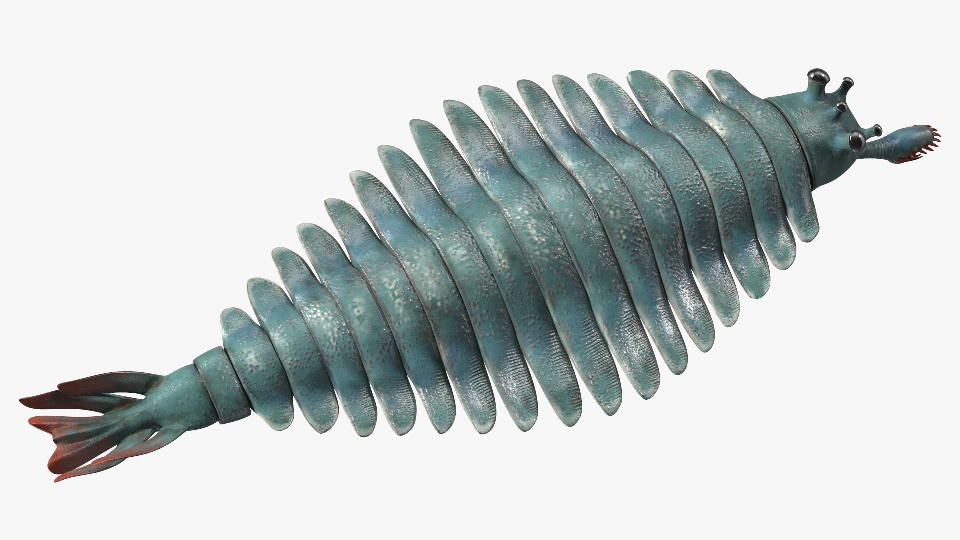 3D Green Opabinia - TurboSquid 2179919