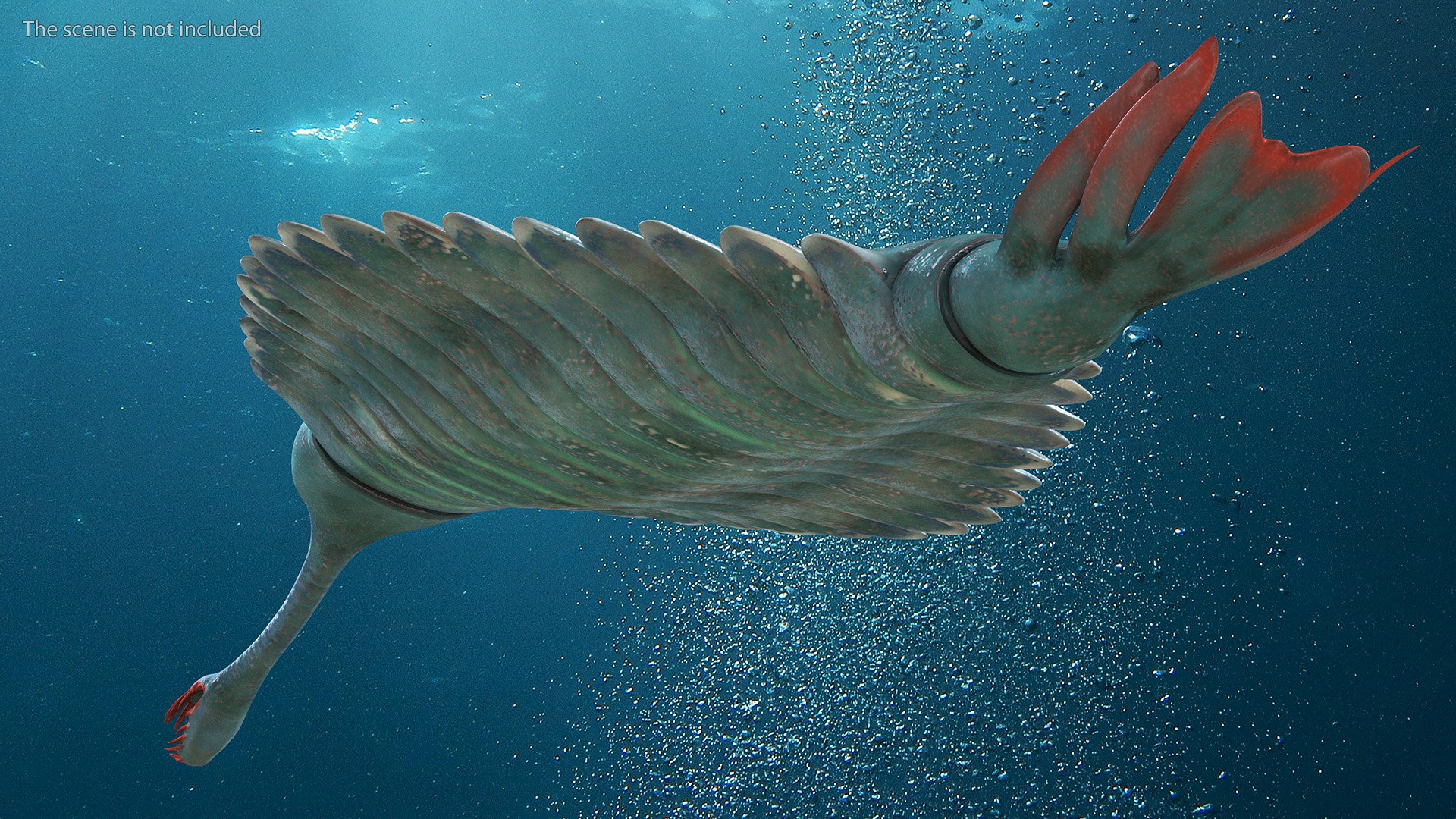 3D Green Opabinia - TurboSquid 2179919