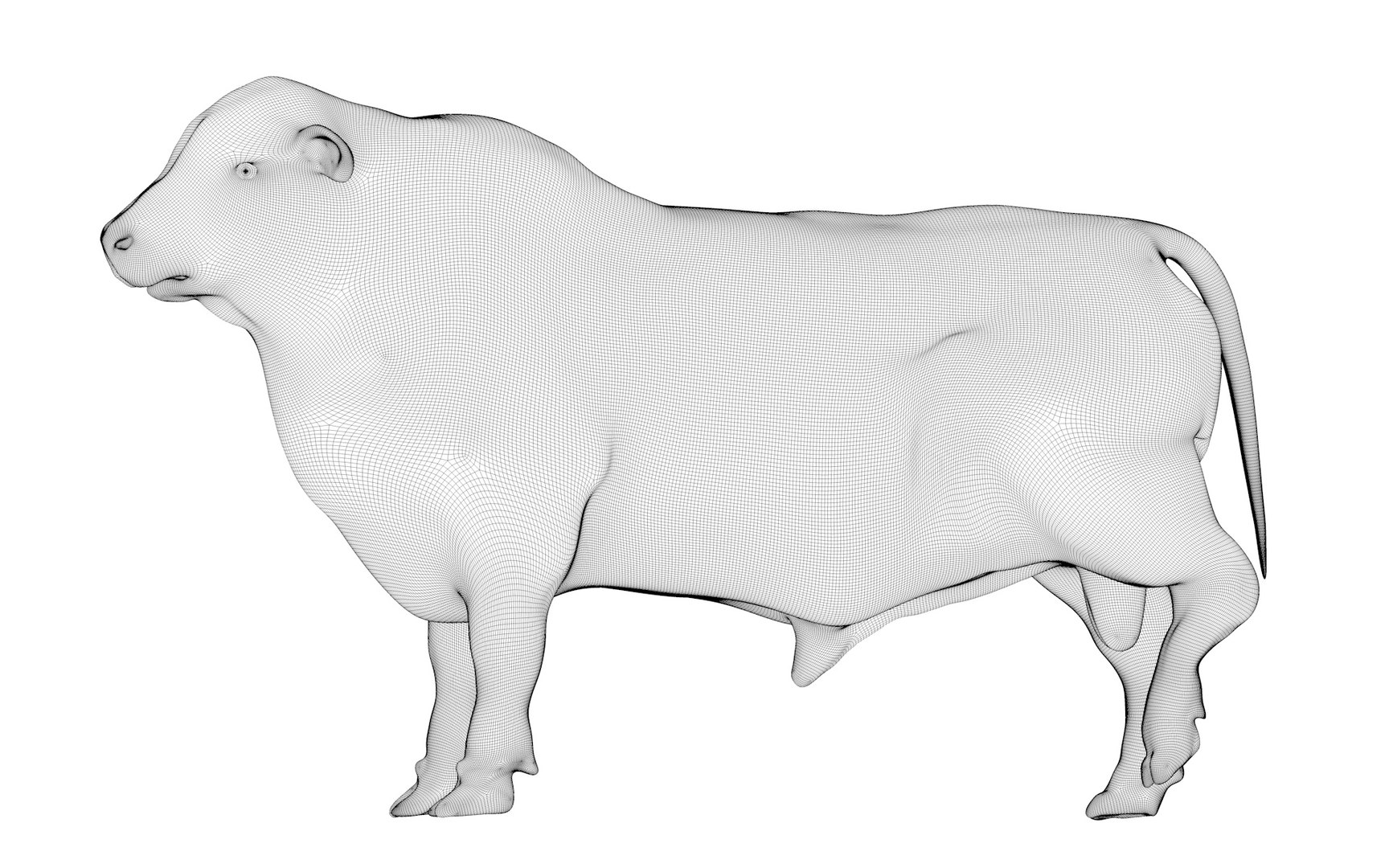 RED ANGUS Rigged L2072 Model - TurboSquid 2154884