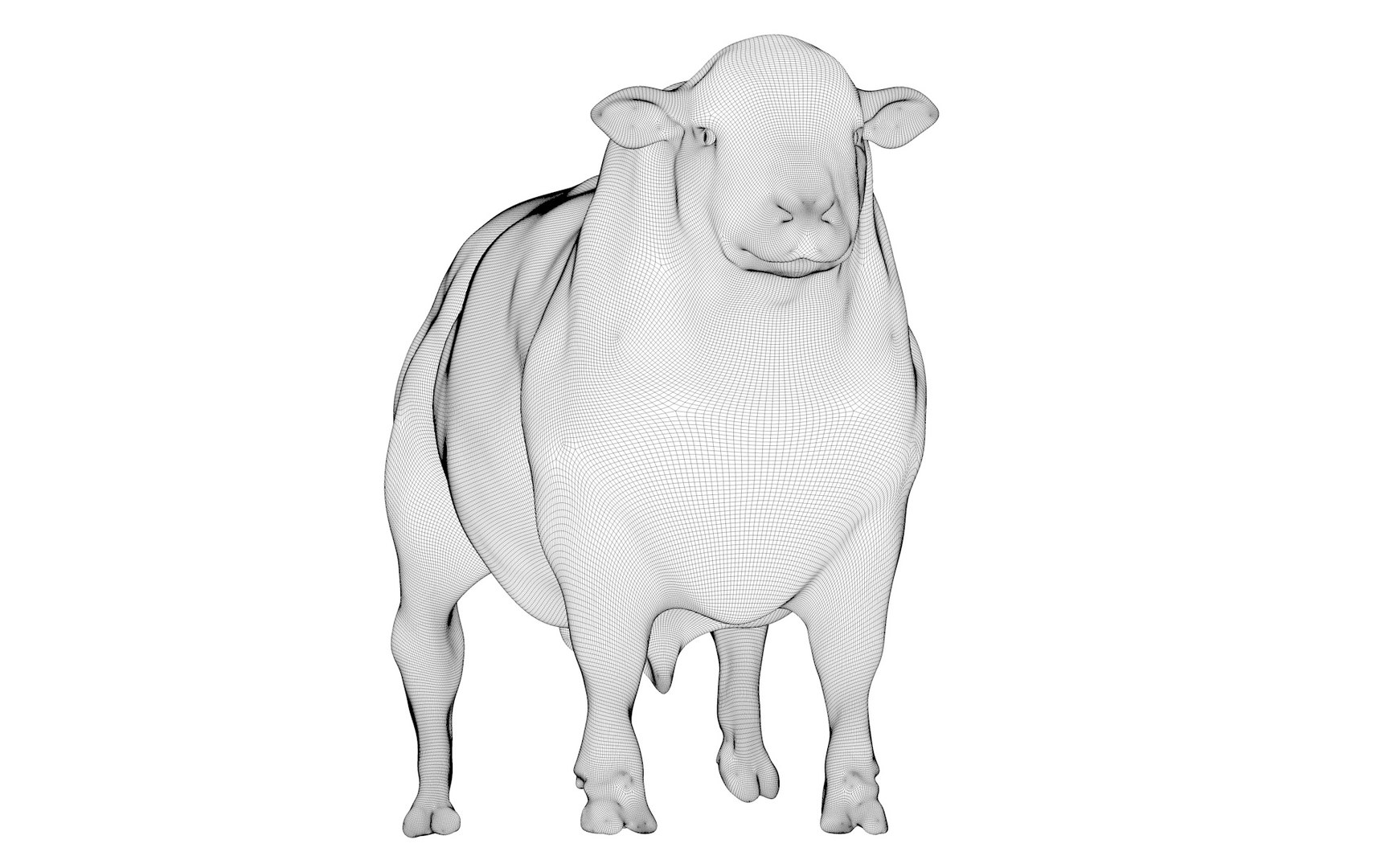 RED ANGUS Rigged L2072 Model - TurboSquid 2154884