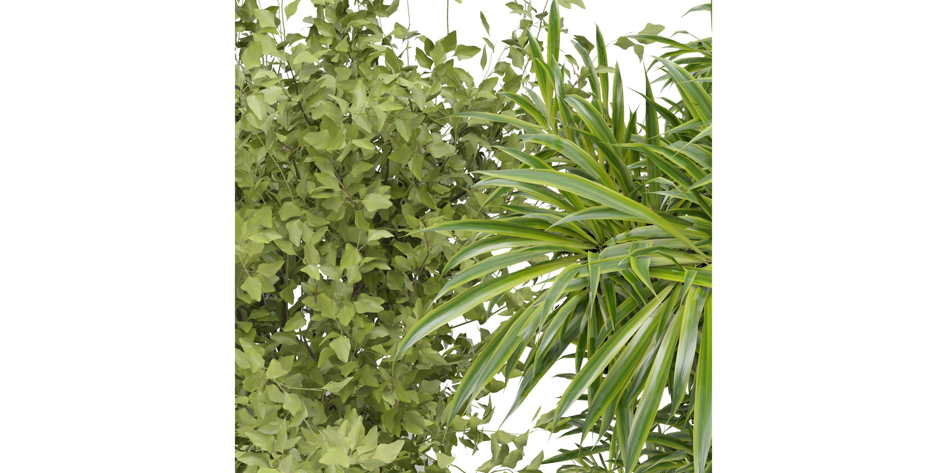 3D Collection plant vol 229 - blender model - TurboSquid 2087057