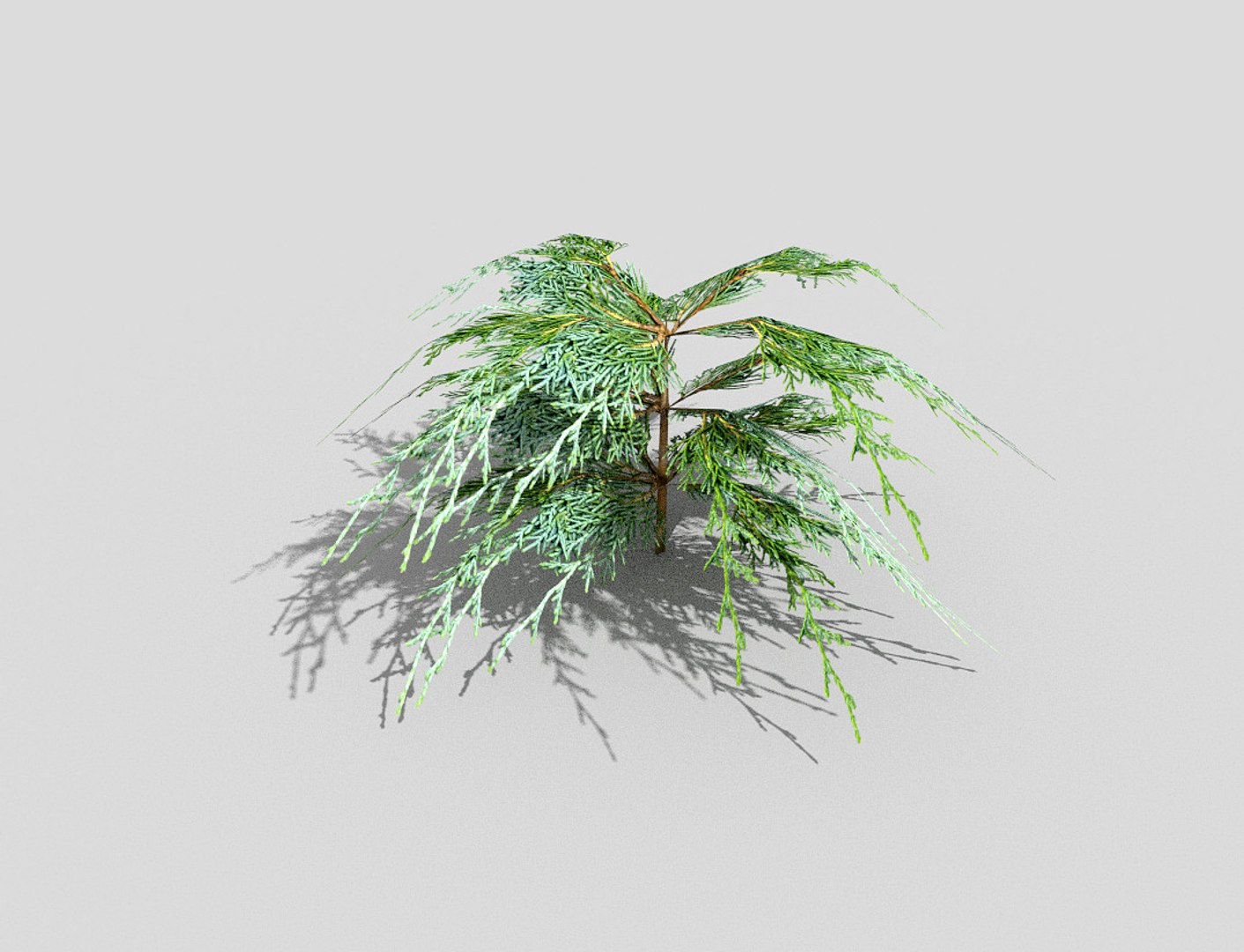 Plant 3ds