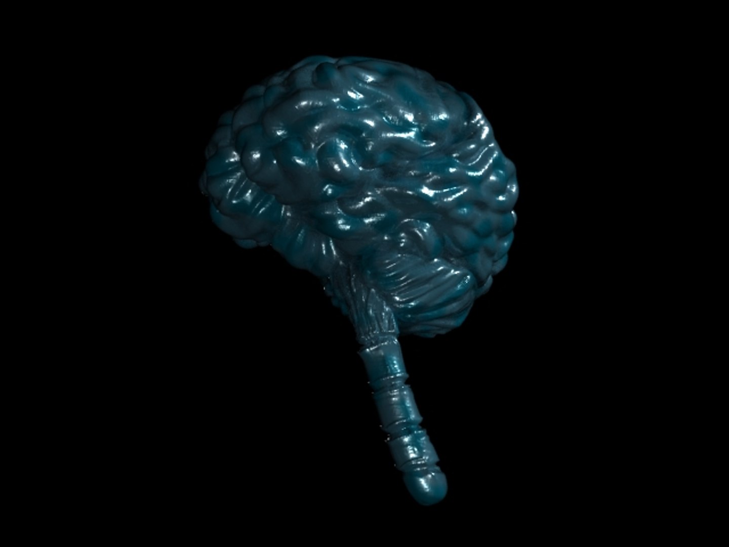 3d model brain res