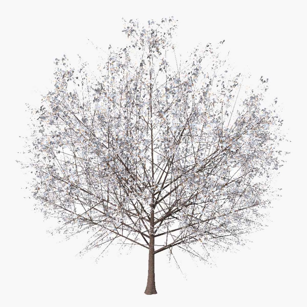 3D Ginkgo Winter - TurboSquid 1619175