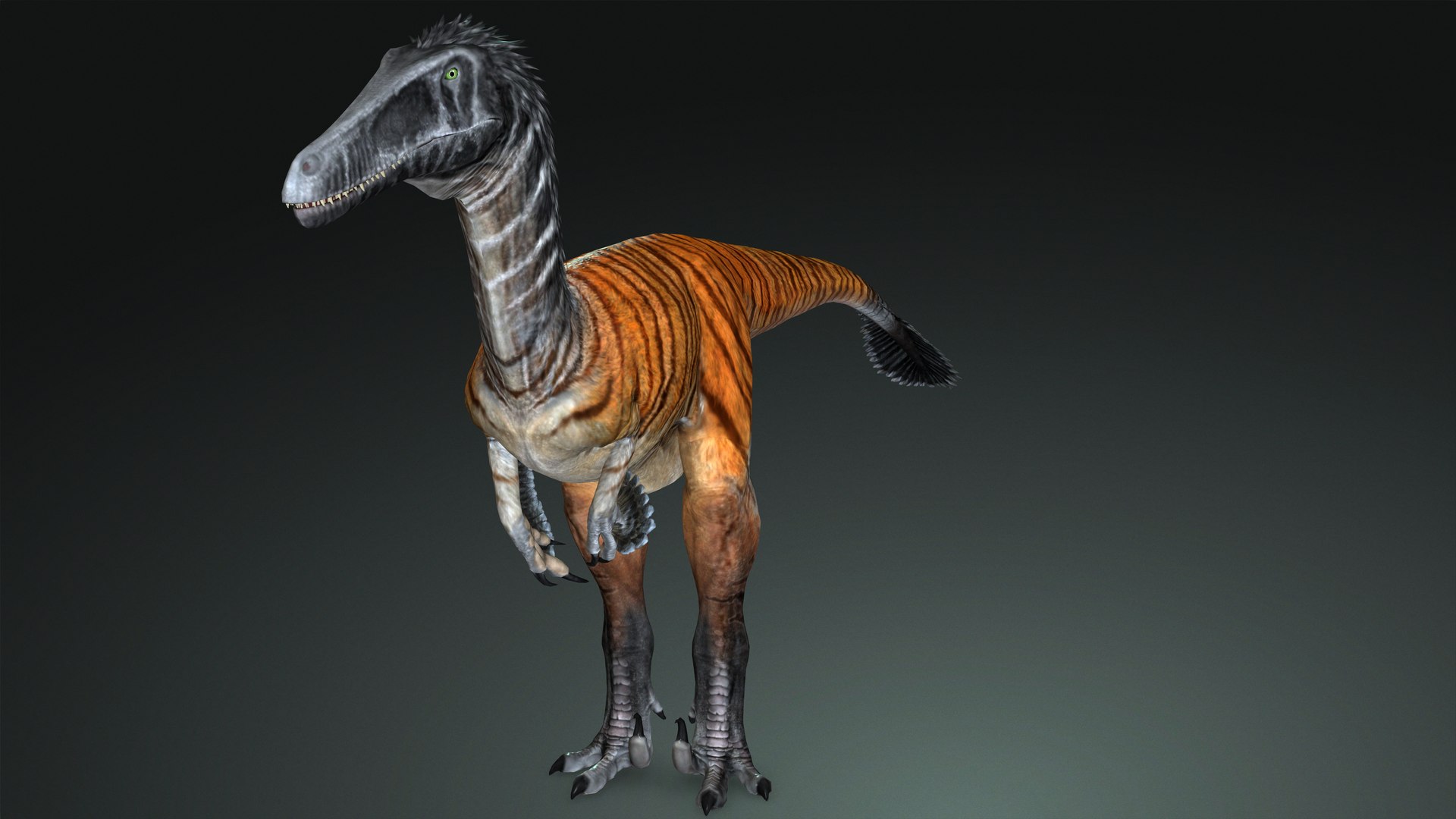 Austroraptor dINO DINOSAURS ANIMATED BLENDER 3D 모델 - TurboSquid 2042575