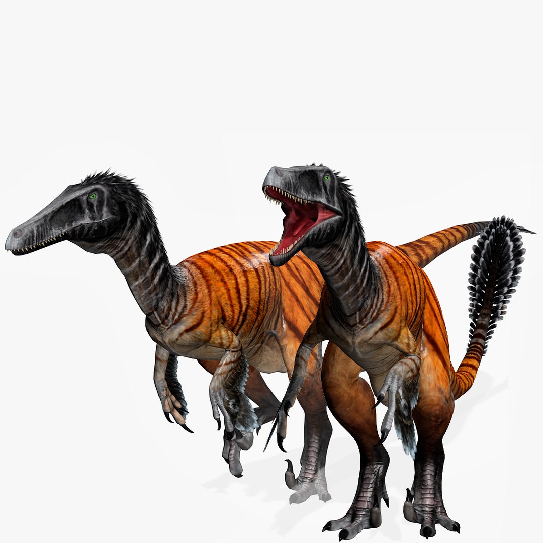 3D Austroraptor dINO DINOSAURS ANIMATED BLENDER - TurboSquid 2042575