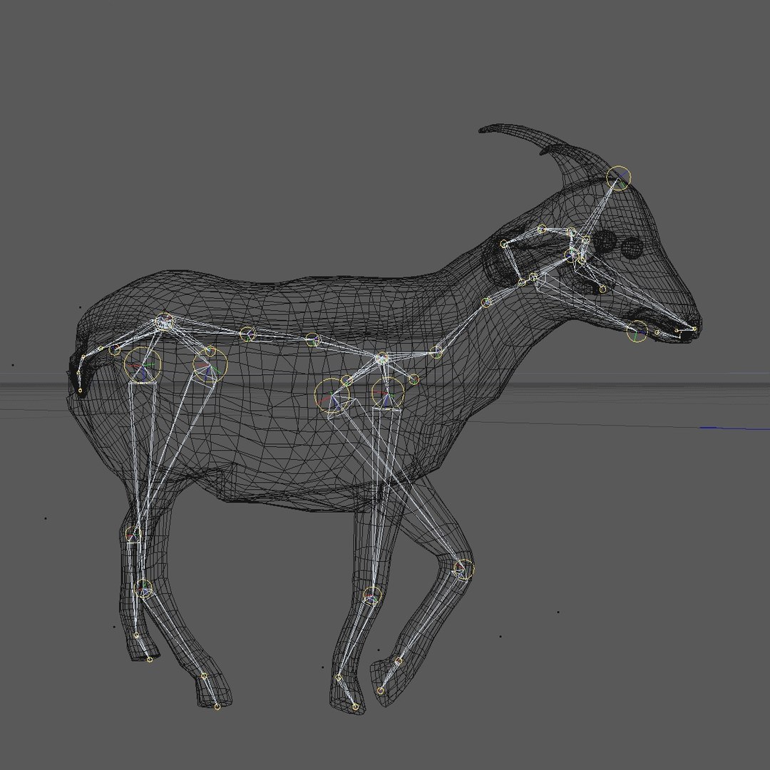 Goat walking rigged animal 3D model - TurboSquid 1155099