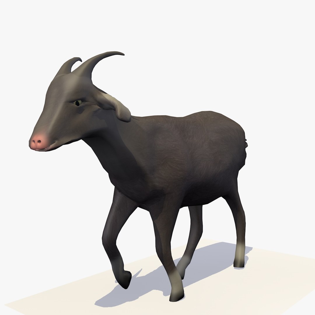 Goat walking rigged animal 3D model - TurboSquid 1155099