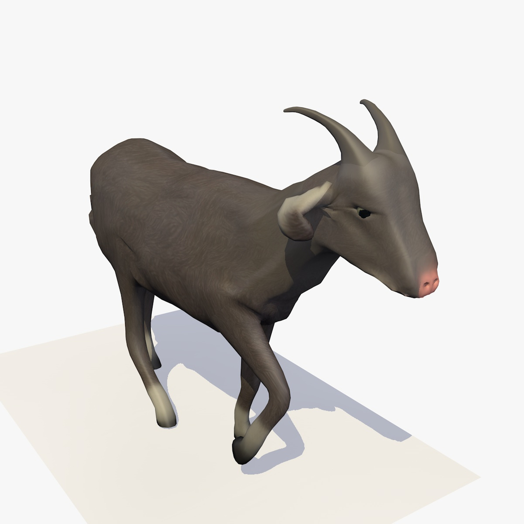 Goat walking rigged animal 3D model - TurboSquid 1155099