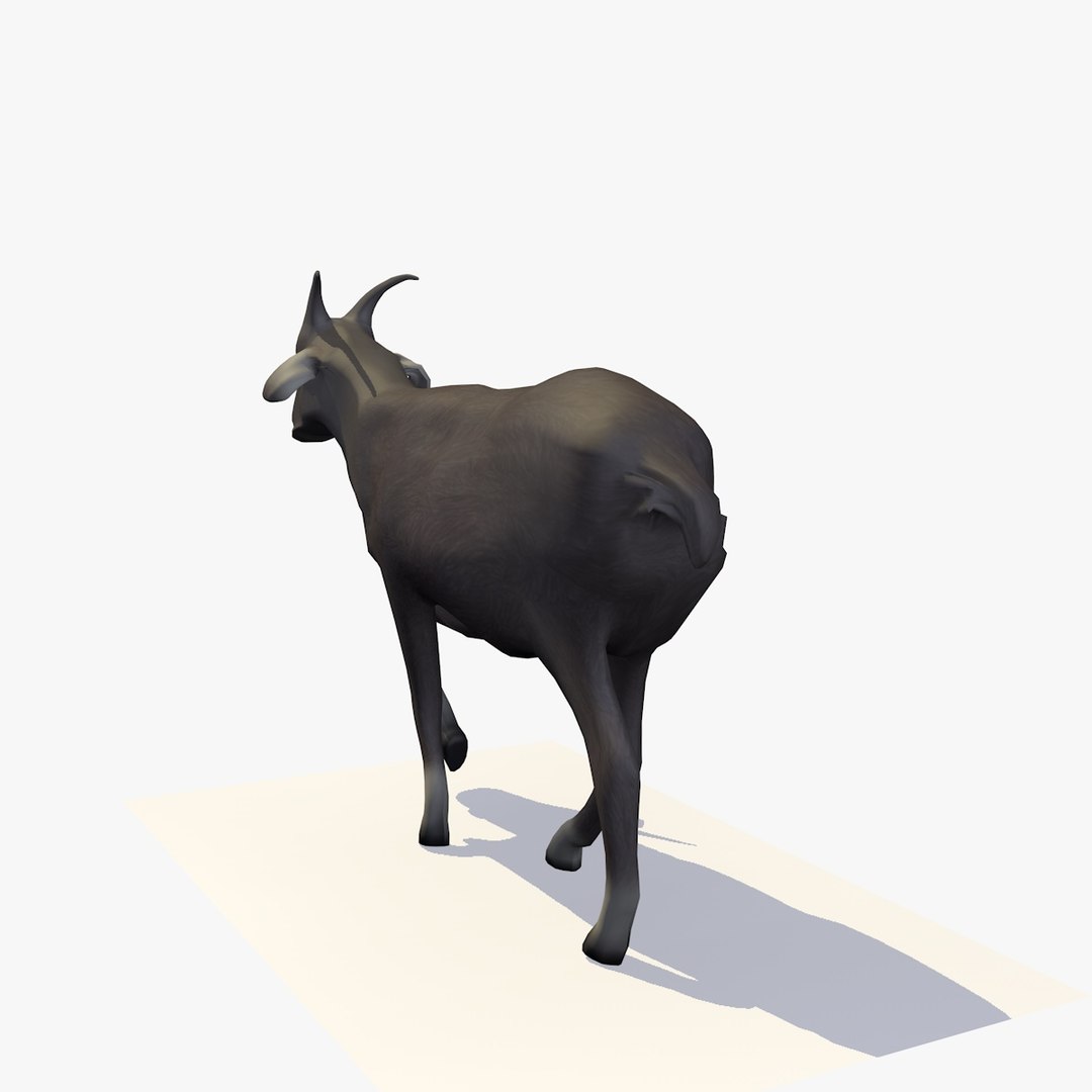 Goat walking rigged animal 3D model - TurboSquid 1155099