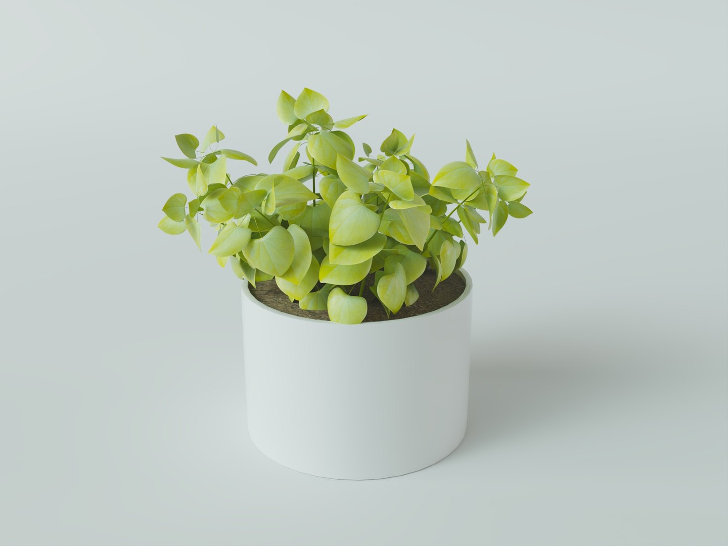 3D Succulent In Pot 5 Low-poly 3D Model Model - TurboSquid 2334367