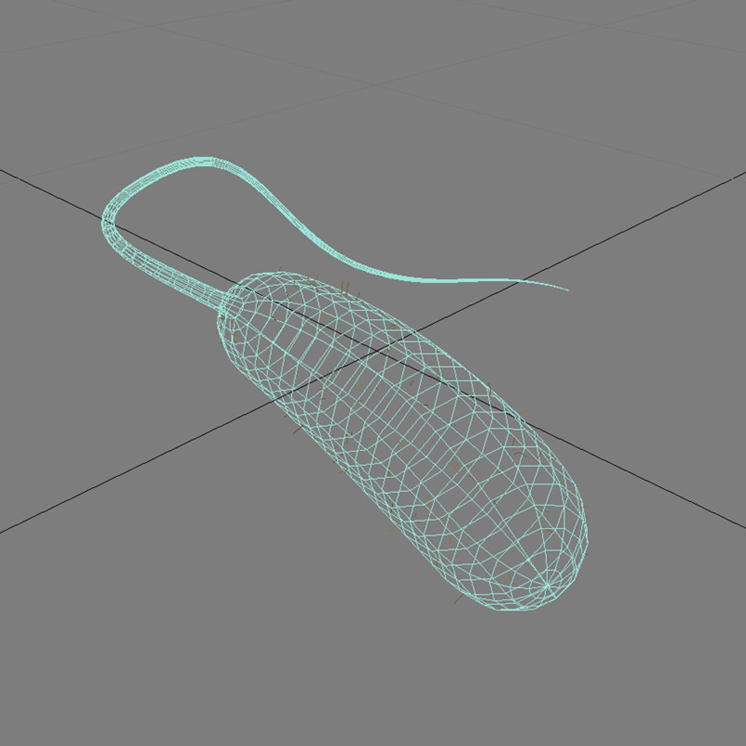 3d Max Microbes Micro Organisms