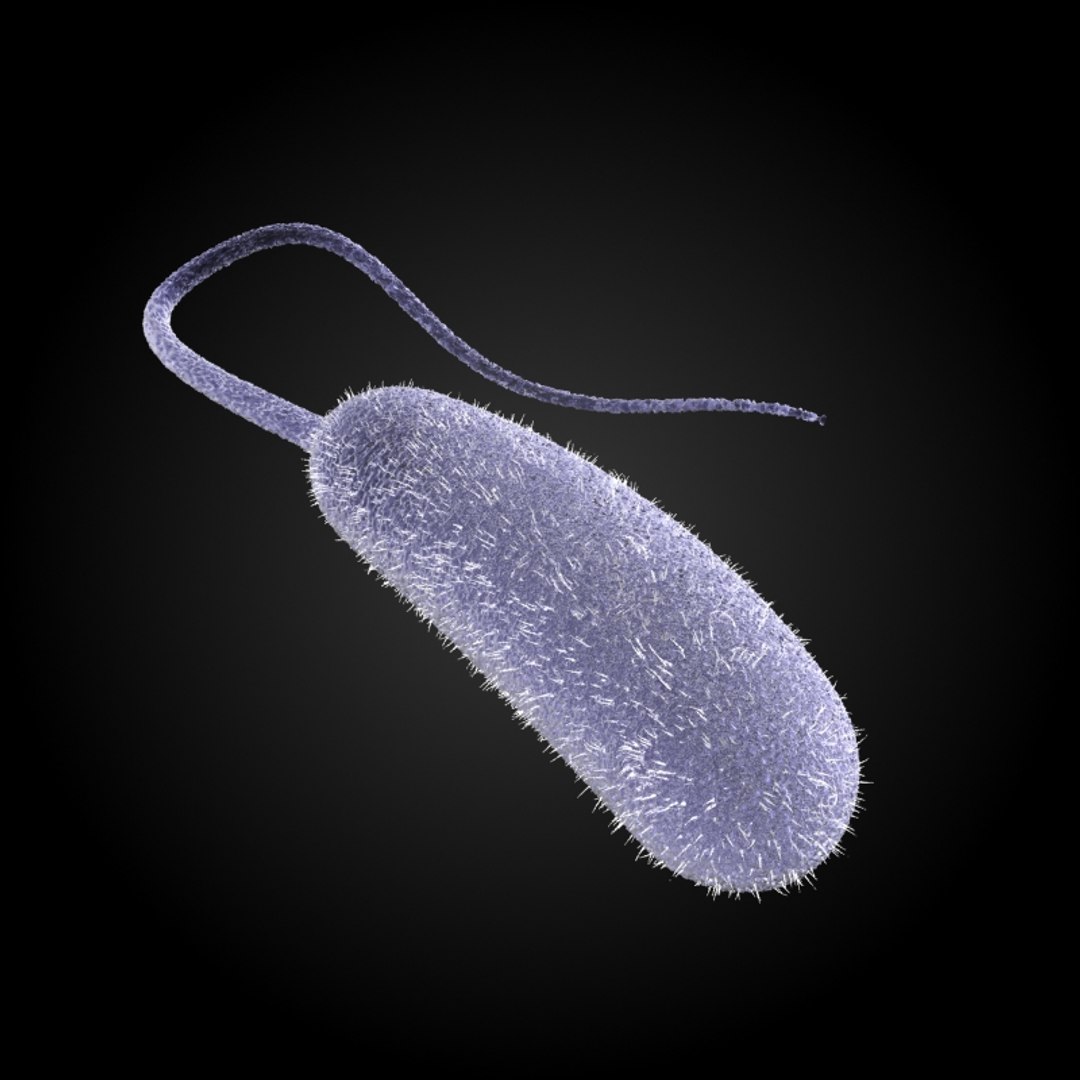 3d Max Microbes Micro Organisms