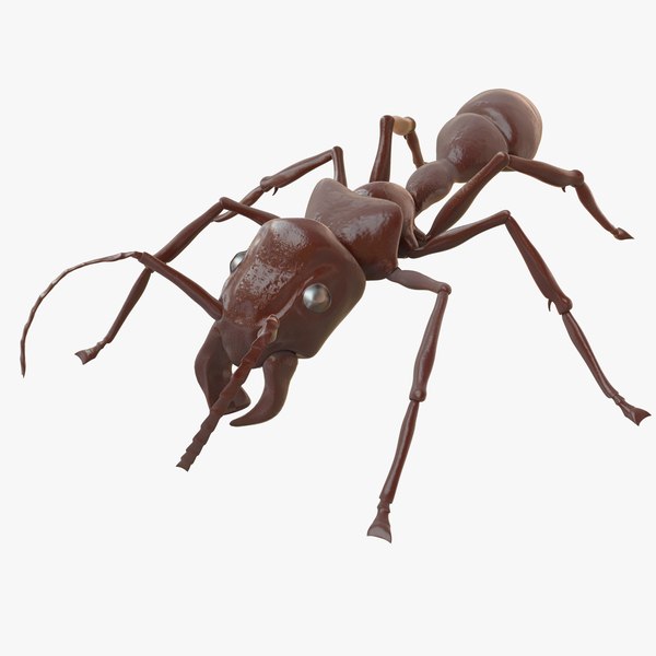 3d model bullet ant rigged