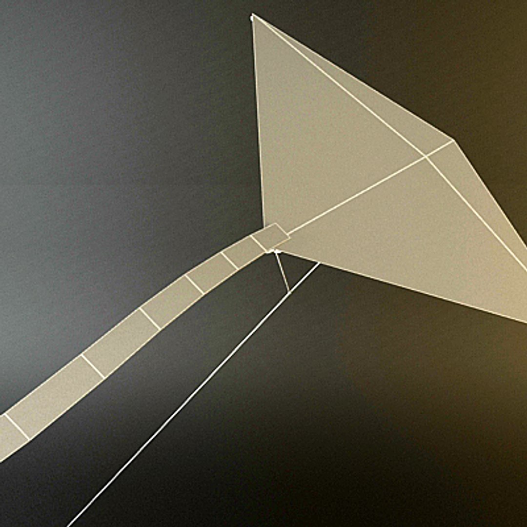 Kite Rigged 3d Model