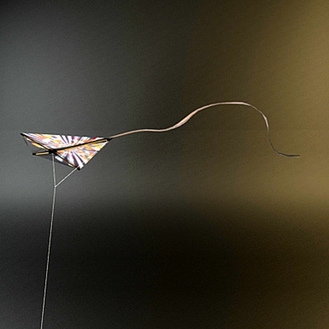 Kite Rigged 3d Model