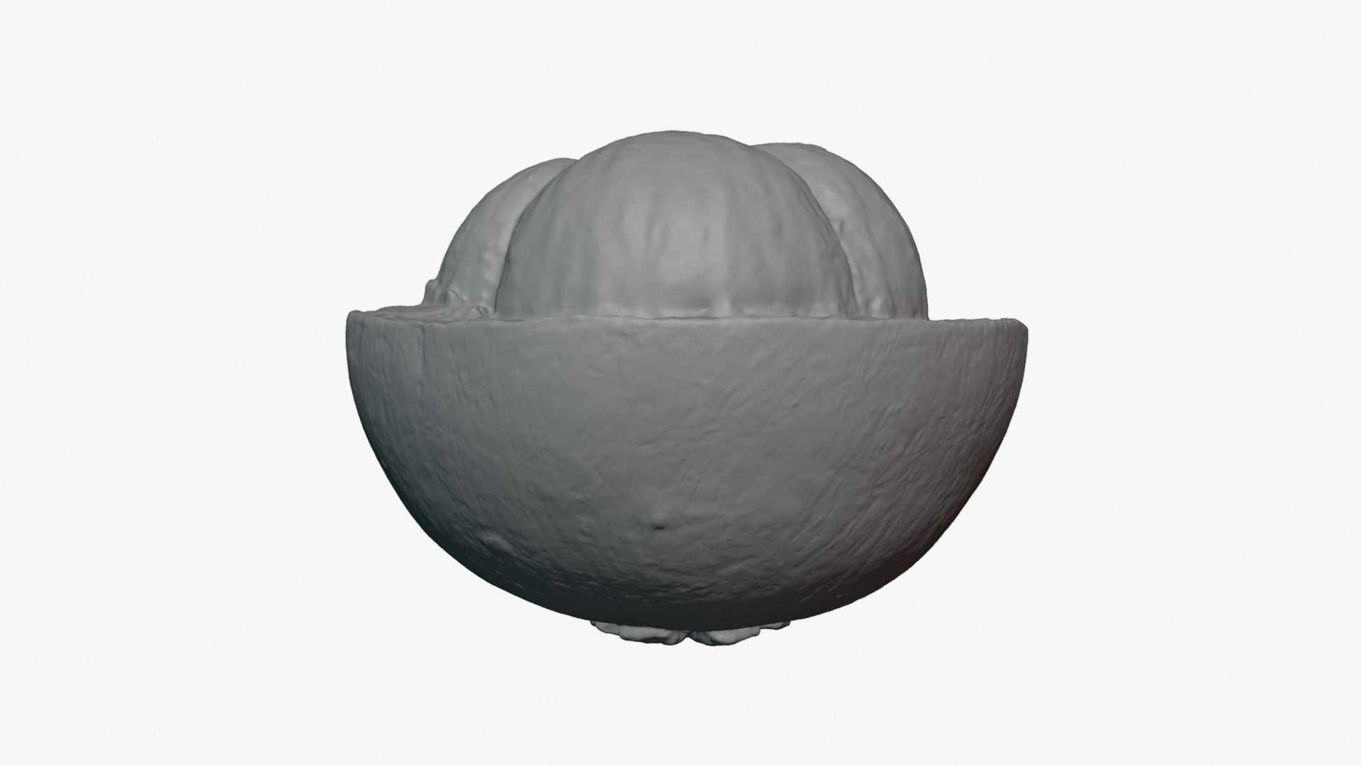 Half Mangosteen 03 - For 3D Print 3D Model - TurboSquid 2505727