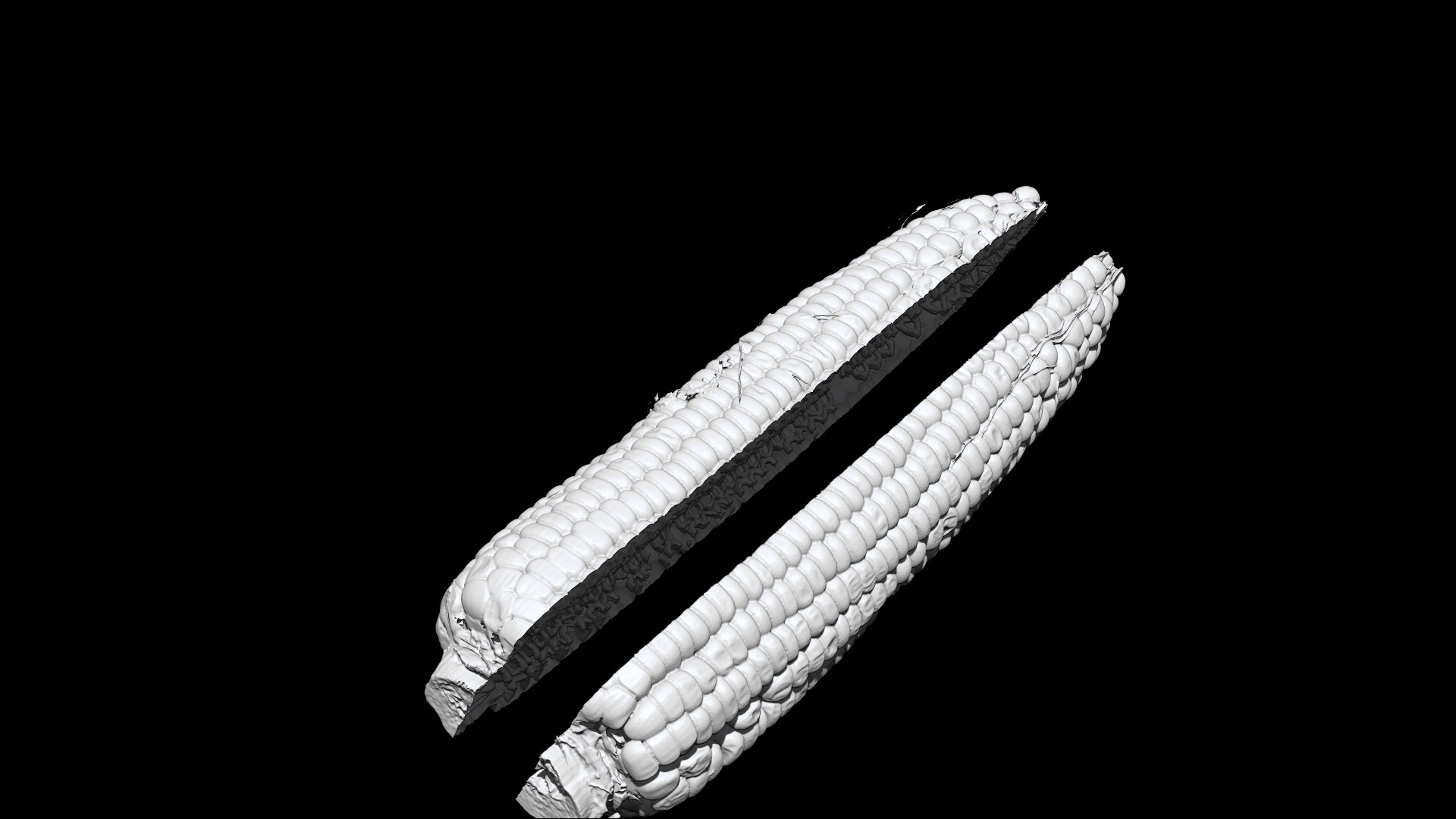 Corn 3D CT Scan Model Cut1 Decimate 50 Percent 3D Model - TurboSquid ...