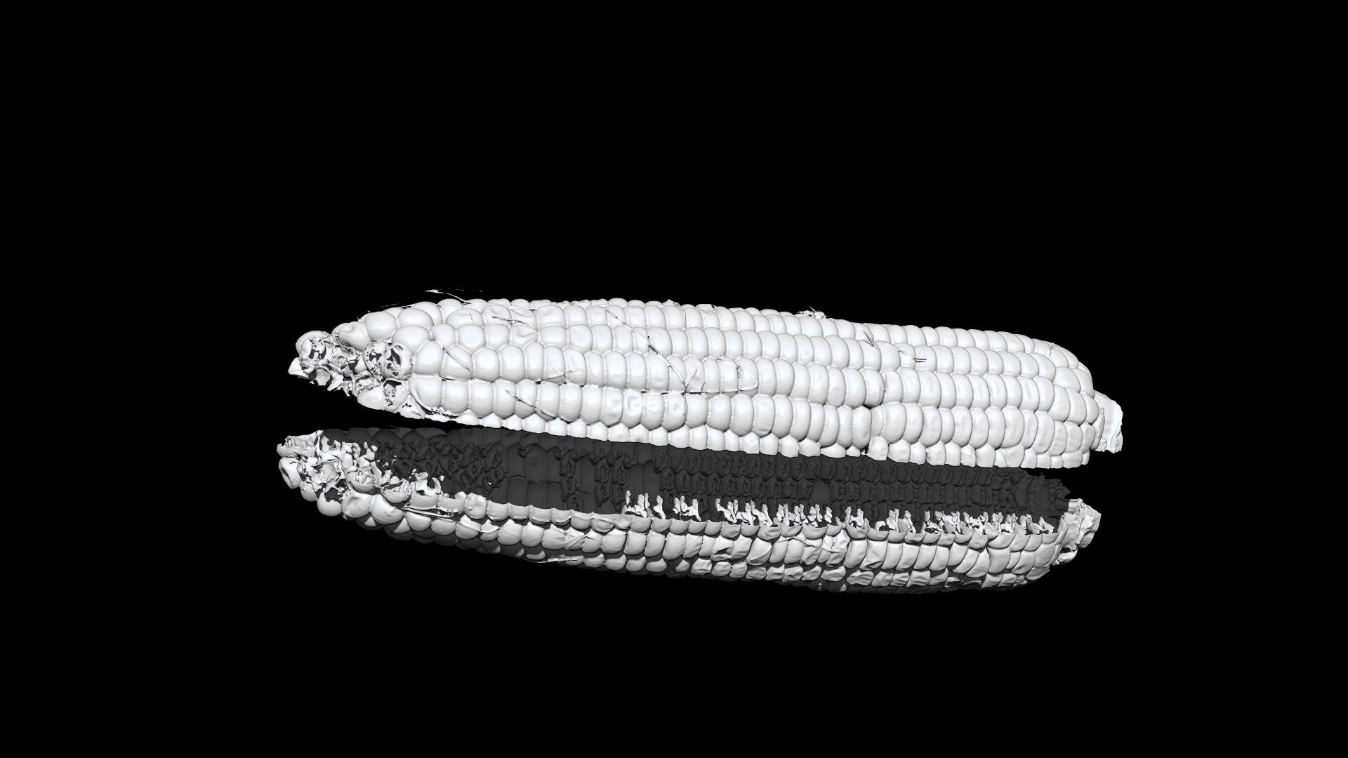 Corn 3D CT Scan Model Cut1 Decimate 50 Percent 3D Model - TurboSquid ...