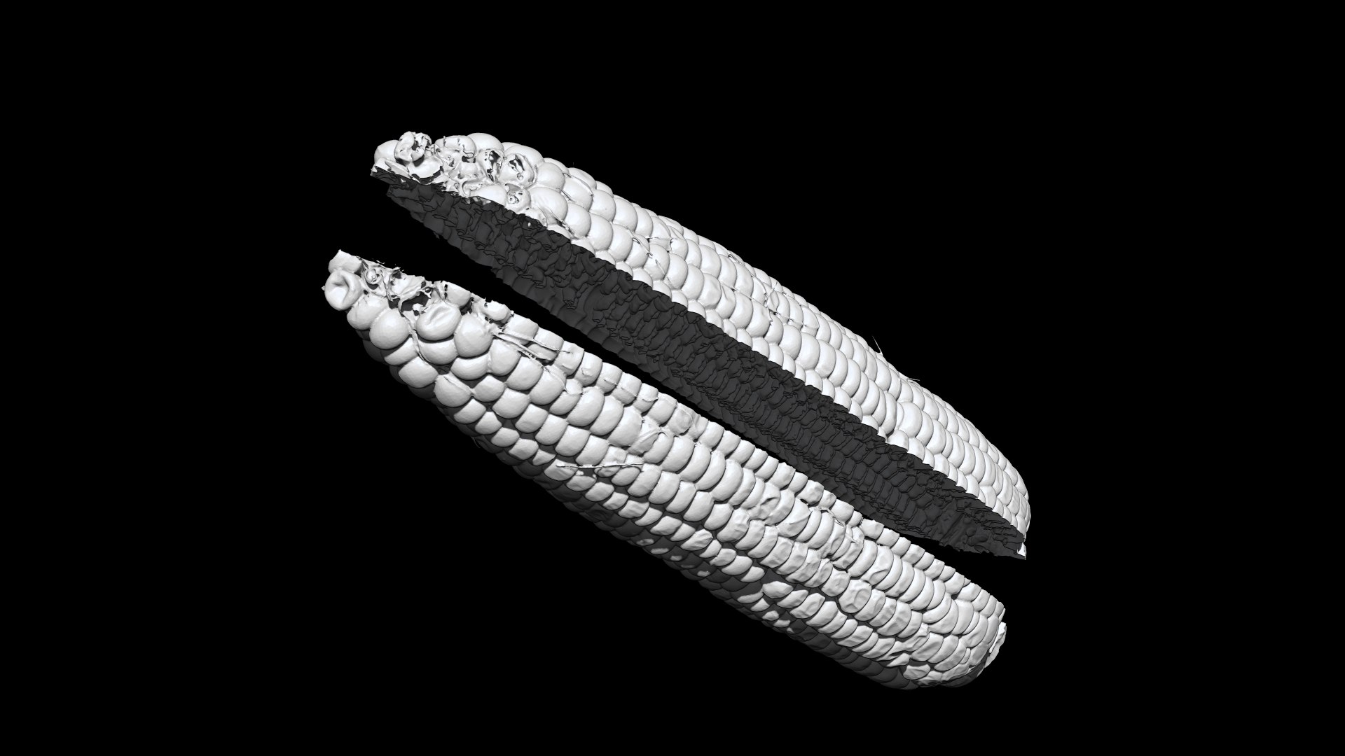 Corn 3D CT Scan Model Cut1 Decimate 50 Percent 3D Model - TurboSquid ...